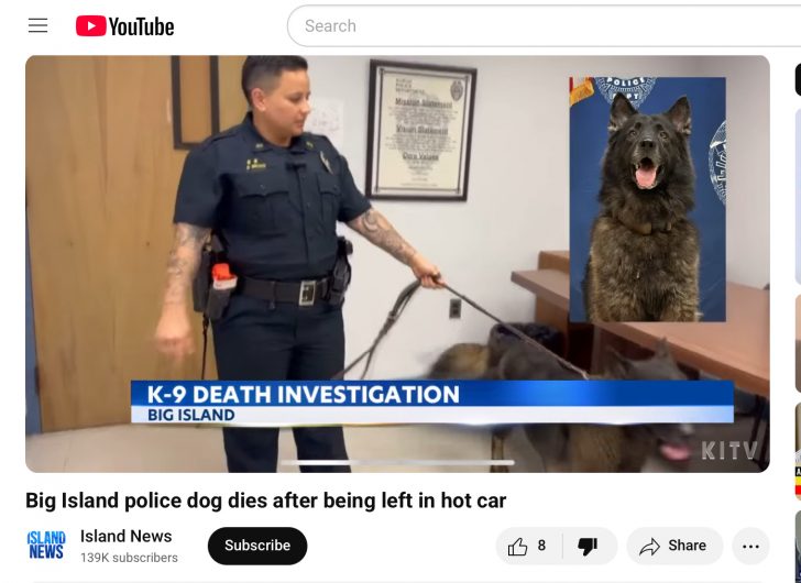 Justice for Police Dog Archer, RIP… whose handler needs to be held ...